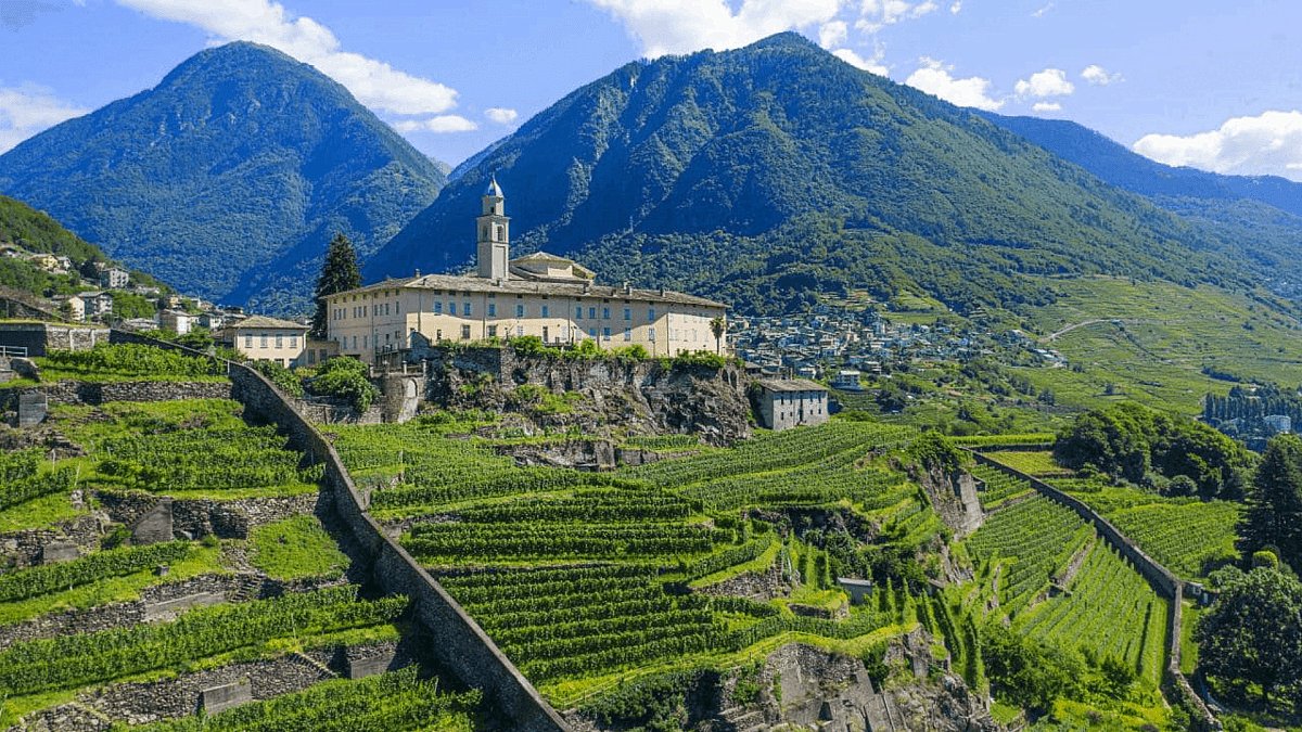 Mamete Prevostini (Valtellina) - THE WINE COMPANY ApS