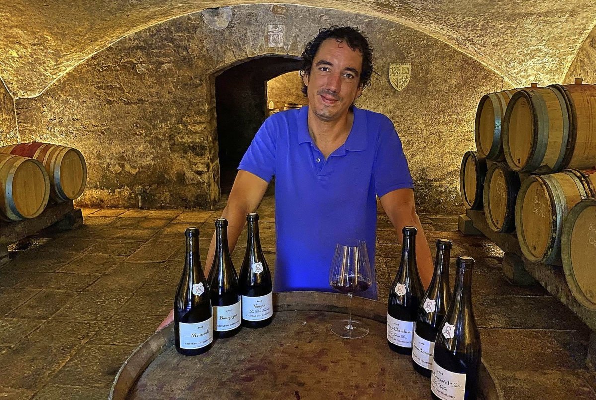 Chateau de Charodon (Miljø) (Beaune) - THE WINE COMPANY ApS