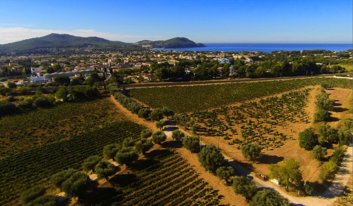 Château Pradeaux (Bandol) - THE WINE COMPANY ApS