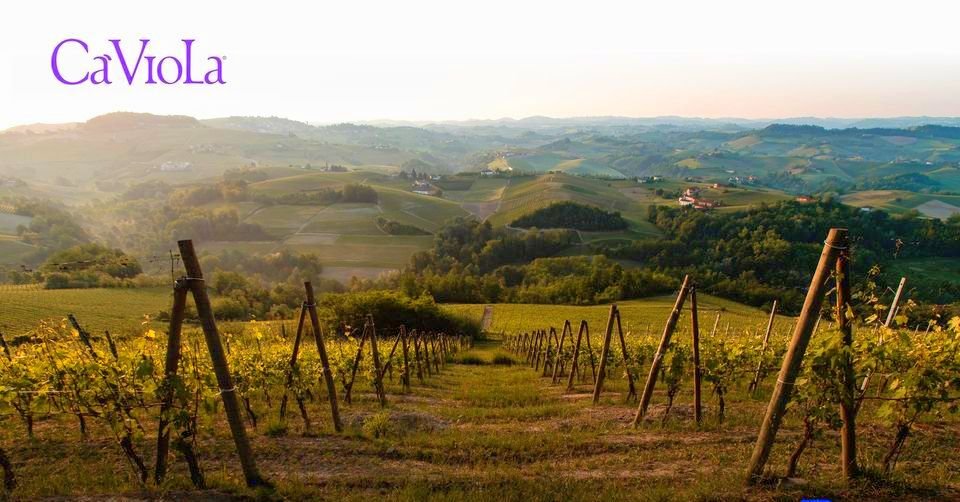 Ca'Viola (Piemonte)